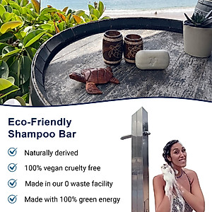 Pacific Spirit Shampoo Bar for thin hair with Argan Oil & Kiwi, Gentle foam, Natural, Green, SLS free, Sulfate Free, Soap-Free, Zero Waste, Vegan, 3.53 Oz