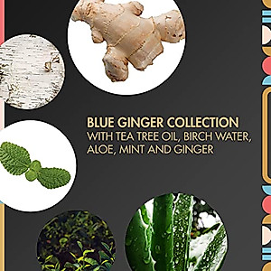 MY BLACK IS BEAUTIFUL Balancing Sulfate Free Conditioner for Dry and Damaged Hair, Blue Ginger Mint, 8.4 fl oz