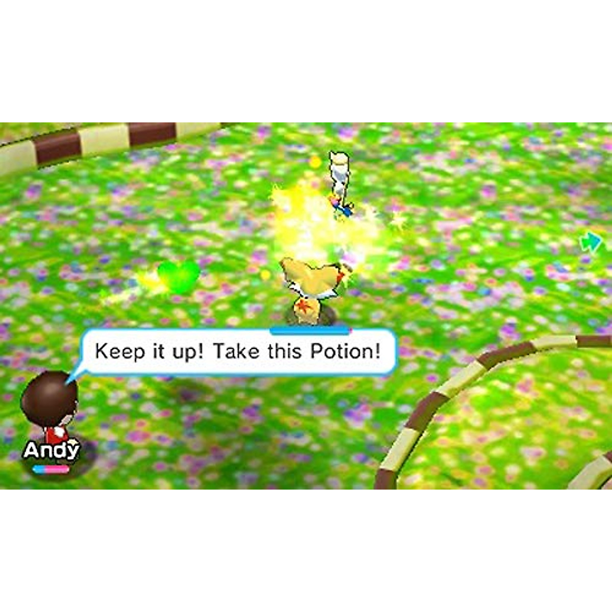 Pokemon Rumble World - Nintendo 3DS Standard Edition