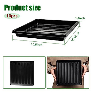 10 Pack Garden Plant Growing Trays Without Holes - 10" X 10" No Drain Holes Microgreens Growing Trays, Seedling Tray, Wheatgrass Sprouting Tray, Hydroponic Trays, Greenhouse Seed Starter Trays