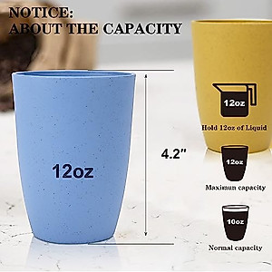Homienly Wheat Straw Cups Plastic Cups Unbreakable Drinking Cup Reusable Dishwasher Safe Water Glasses (12 OZ)