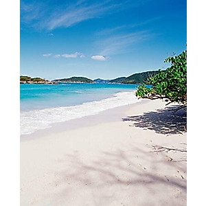 Posterazzi US Virgin Islands St. John Cinnamon Bay Trees at the North Shore Poster Print, (22 x 27)