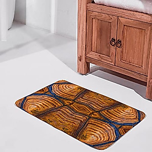 Turtle Carapace Bathroom Rug Mat, Extra Soft and Absorbent Microfiber Bath Rugs, Non-Slip Plush Bath Carpet, Bath Mats for Bathroom Floor, Tub and Shower 16x24 Inches