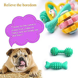 HDMOTU Puppy Toys for Teething,Puppy Chew Toys for Teething Small Breed,Dog Chew Toys for Puppies Teething 20 Pack,Rubber Ball Interactive Dog Toy
