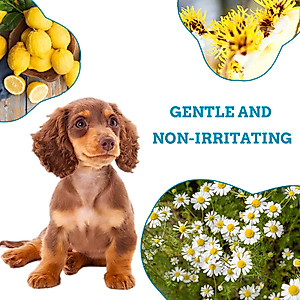 Tetesol Dog Cat Eye Wipes - 240ct Wet Pad Gentle Tear Stain Remover Wipes for Dogs Cats Horses - Non-Stinging Eye Irrigation Formula, Remove Dried Mucus, Discharge & Tear Stains