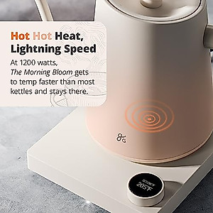 Greater Goods Electric Gooseneck Kettle, Designed in St. Louis, Birch White,1200 Watt