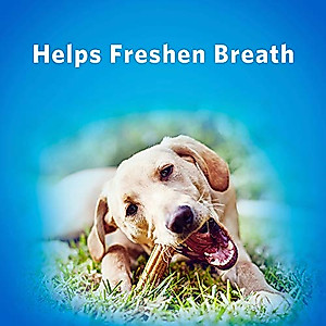 Purina Dentallife Daily Oral Care Dog Treats Large Chews - 7 Ct