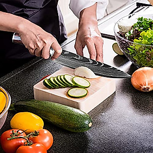 Knives Set for Kitchen, Gustrug 5PCS High Carbon Stainless Steel Kitchen Knife Set with Ergonomic Wooden Handle for Professional Multipurpose Cooking