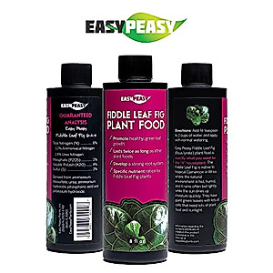 Fiddle Leaf Fig Plant Food 6-2-4, Fast-Acting houseplant Fertilizer for Ficus Lyrata and Ficus Audrey, High Concentrate Balance Nutrient Plant Food