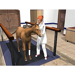 My Vet Practice 3D, auf dem Land [3DS]