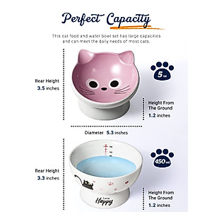 AISBUGUR Ceramic Cat Bowls Set of 2, Elevated 15 Tilted Design for Indoor Cats, Large Capacity, Easy to Clean, Non-Slip Base, Cute Pattern,Pink