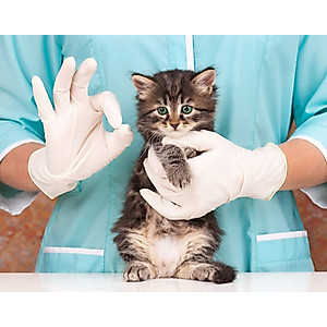 I LOVE MY PETS LLC cat probiotic Treats - CAT Digestive AID - Healthy PROBIOTICS - Chews - cat acidophilus - 60 Treats (1 Bottle)