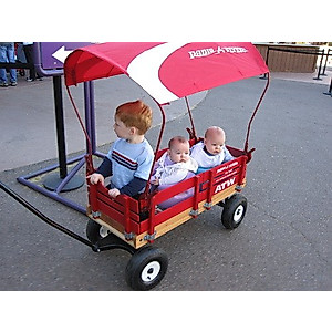 Radio Flyer Wagon Canopy