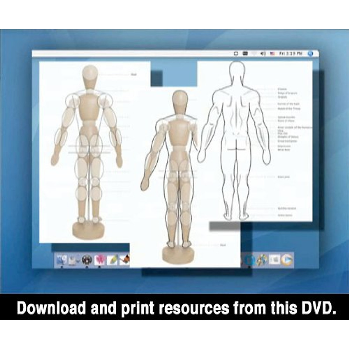 Drawing From The Manikin
