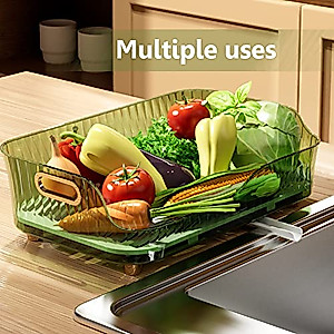 FOCUS FINEST Dish Drying Rack, Dish Drainer for Kitchen Counter with Drainboard and Utensil Holder, Rustproof PET Use to Last