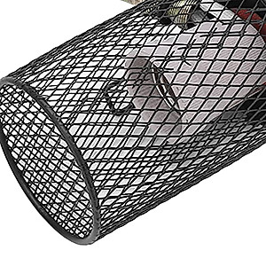 Reptile Lamp Cover, Anti-Scald Burn Protective Lampshade, Reptile Heater Lamp Guard, Heat Lamp Light Cage for Reptile, Reptile Anti-Scald Lampshade for Turtle Snakes Lizards Frogs Chicks(US Plug)
