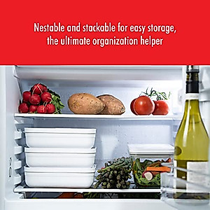 ZWILLING Fresh & Save Flat Lunch Box Large, Airtight Food Storage Container, Meal Prep Container, BPA-Free, Grey