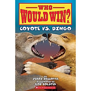 Who Would Win?: Coyote vs. Dingo