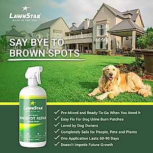 Dog Spot Repair Grass Paint, Pre-Mixed & Ready to Spray - Covers Brown Burn Patches on Lawn (32 fl oz)