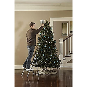 Cosco 11308Pbl1e 2-Step Big Step Folding Stool, 200Lb, 22-Inch Spread, Black/Gray