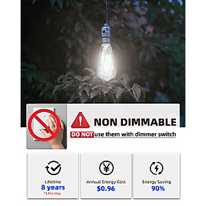 Lumiverse Edison Light Bulbs 60 Watt, 4000K Cool White, Non-Dimmable, Vintage Light Bulbs, E26 Medium Base ST19 Antique LED Filament Bulbs, Clear Glass, Pack of 6