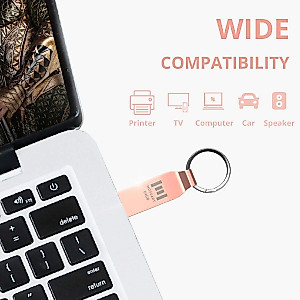MOSDART 64GB USB 2.0 Flash Drive Metal Keychain exFAT Zip Drive Waterproof Thumb Drive 64 GB Dustproof USB2.0 Jump Drive 64G Shockproof Memory Stick for Storage and Backup,Rose Gold
