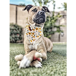 Elegant little tail Dog Bandanas - 1Pack Sunflower Print Washable Dog Scarf Female Square Dog Bib Kerchief Scarf Adjustable Pet Bandana for Medium Large Dogs