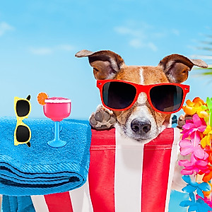 20 Pcs Beach Towel Clips Plastic Beach Chair Clips Flamingo Parrot Watermelon Pineapple Ice Cream Portable Swimming Pool Towel Holder Funny Clothespins for Christmas Party Gift Pool Blanket Decoration