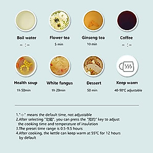 Bear YSH-C06N1 Health Pot, Electric Kettle with Cup Warmer, Glass Kettle for Coffe Tea with Infuser, Pre-set, Temperature Control, 300ml & 600ml