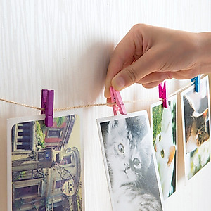 DECORA 2.5cm Multicolor Wood Mini Clothespin 72 pieces in One Package