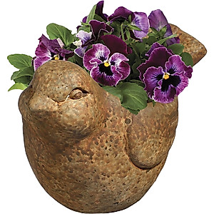 Classic Home and Garden Cement Buddies Indoor Outdoor Bird Planter, Rust, Large, 9"