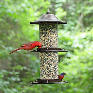Perky-Pet 325S Panorama Bird Feeder