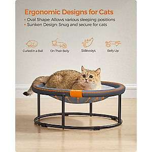Feandrea Pet Bed, Cat Hammock, Elevated Cat Bed for Multiple Cats, with Removable Washable Mesh, for Pets up to 20 lb, Oval, Gray UPCB001G01