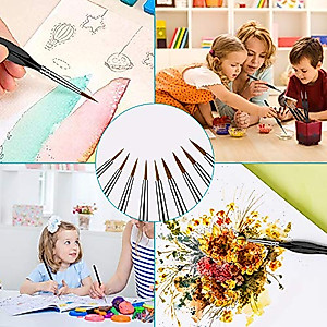 Detailing Paint Brush