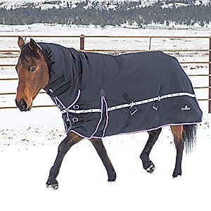 Classic Equine 10K Cross Trainer Winter Blanket with Hood, Black, Large