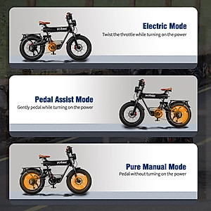 ACTBEST Electric Bike for Adults - Electric Dirt Bike with 2000W Motor, 960Wh Removable Battery, 20" x 4.0 Fat Tires E Motorcycle with Dual Suspension & Hydraulic Brakes, 7-Speed, 32MPH