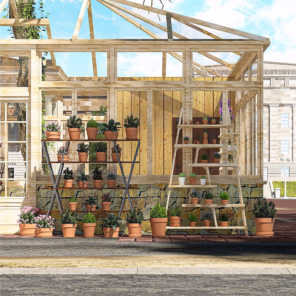 Fcacti 6 Pack 5 Inch Terracotta Shallow Succulent Pot - Terra Cotta Clay Pots with Saucer, Round Shallow Terra-Cotta Bonsai Pot with Drainage Hole for Indoor/Outdoor Plants