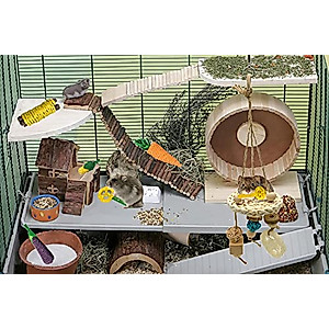 Vehomy 12Pcs Hamster Toys for Hamster Small Animal Chewing Toy Hamster Applewood Molar Stick Rat Cage Hanging Swing Handmade Carrot Lollipop Toy Small Pet Cage Decor Toy for Gerbils, Rats, Parrots