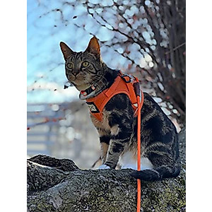 Travel Cat Harness and Leash Set - Adjustable Comfort Fit Mesh Vest Harnesses with Reflective Strap - Snug Fit Harness for Cats, Kitten for Outdoor Walking, Orange, Small (Chest 13-15.5 inch)