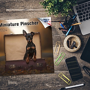 2023 2024 Miniature Pinscher Calendar - Dog Breed Monthly Wall Calendar - 12 x 24 Open - Thick No-Bleed Paper - Giftable - Academic Teacher's Planner Calendar Organizing & Planning - Made in USA