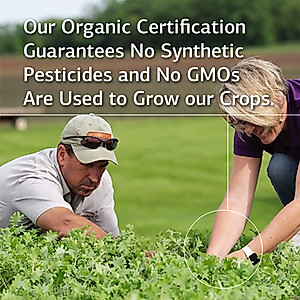 Standard Process Inc. Ginkgo Synergy - Whole Food Mental Clarity, Brain Health Supplement, Brain Support and Blood Flow with Grapeseed Extract, Buckwheat, Gotu Kola, Ginkgo Biloba - 40 Capsules