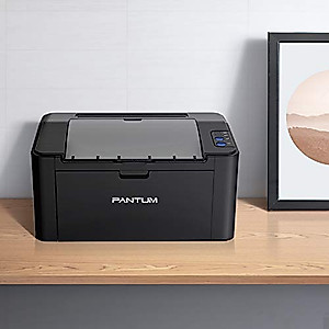 Pantum P2502W Wireless Laser Printer Home Office Use, Black and White Printer with Mobile Printing (V8V77B)