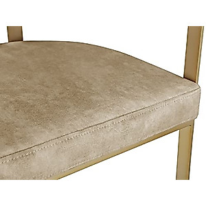 Meridian Furniture Marcello Collection Modern | Contemporary Velvet Upholstered Dining Chair with Brushed Brass Iron Frame, Set of 2, 23.5" W x 24" D x 28" H, Beige