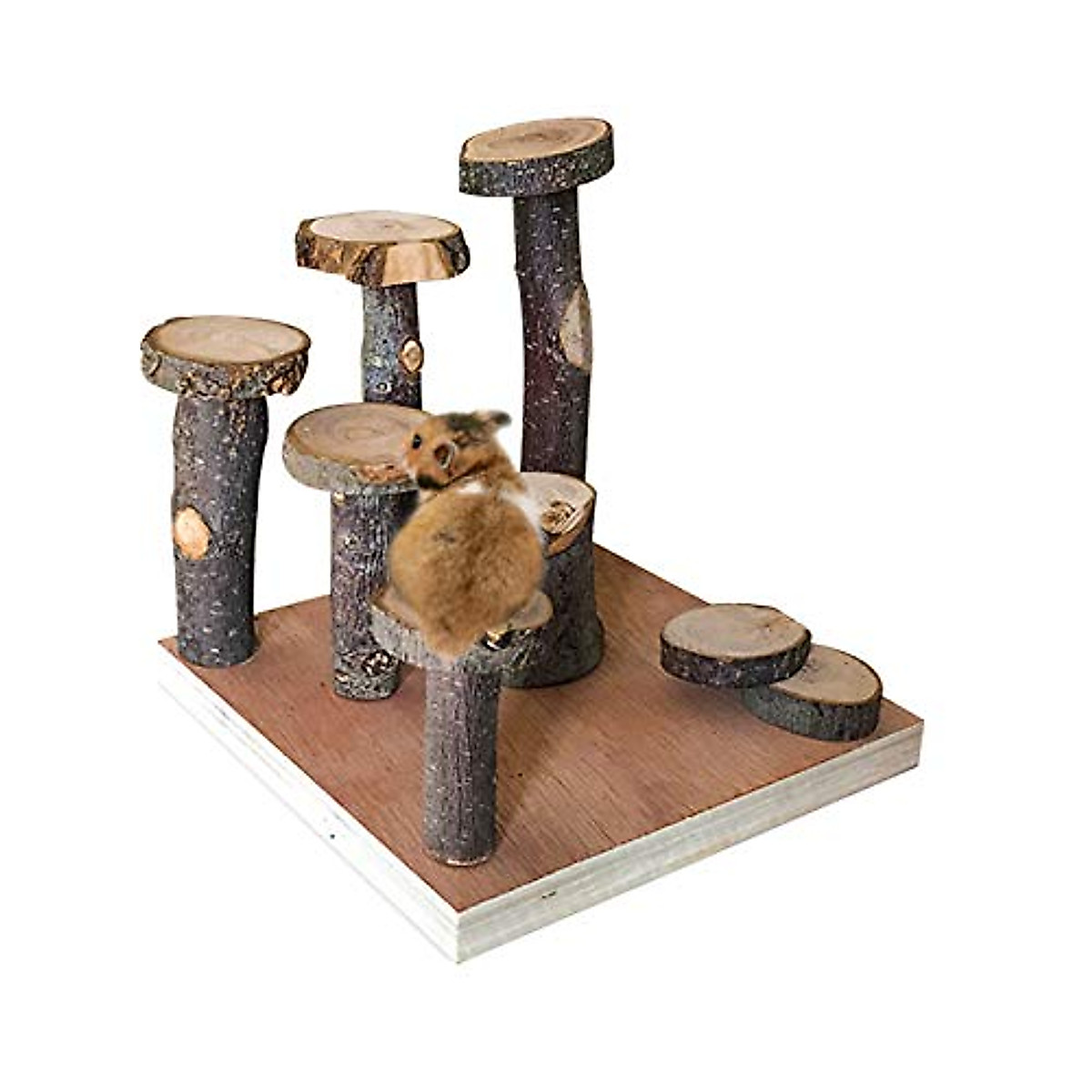 Hamster Climbing Wooden Stand Platform, Pet Cage Playground Natural Wood Bridge ramp Toys for Dwarf Hamsters, Syrians Hamster, Gerbil, Mouse, Rat
