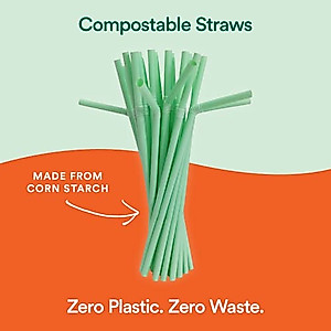 ECO SOUL 100% Compostable Straws [100 Count][8.25"] Eco-Friendly Biodegradable Sustainable Disposable Straws, Cocktail Cold Drink Smoothie Bendable Straws