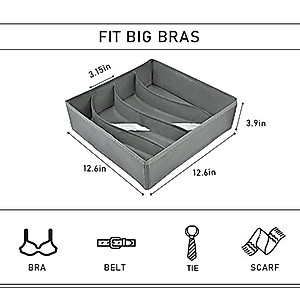 2 Pack Bra Storage Organizers for Dresser Drawers, Fabric Foldable underwear Storage, Washable Lingerie Organizers, Grey¡­