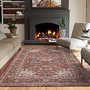 COZYLOOM Machine Washable Rug, Retro Medallion Accent Rug Vintage Tribal Rug Indoor Floor Cover Boho Oriental Area Rug Non-Slip Thin Rug Distressed Soft Mat Living Room Bedroom Brown 5 x 7 FT