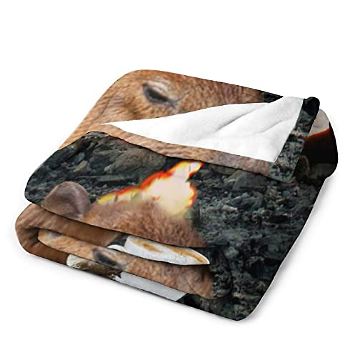 Capybara Sipping Coffee Blanket Gifts, 40"*50" Flannel Throw Blanket, Soft Warm Fuzzy Fluffy Plush Blankets for Girls Boys, Gifts for Capybara Lovers for Sofa Couch Bed Travel Room Decor