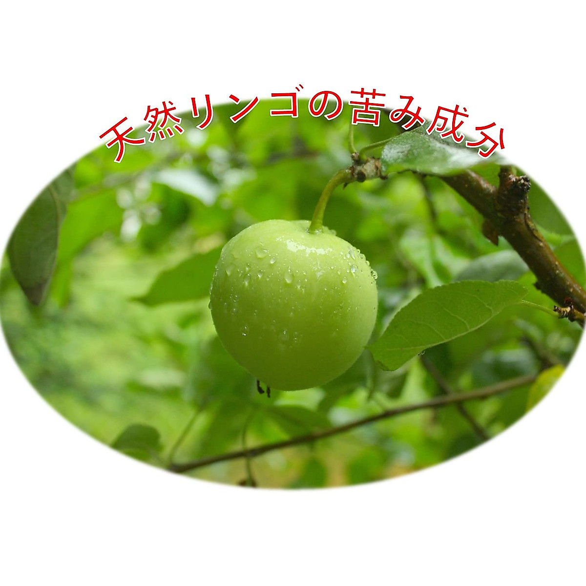 Grannick's Taste Deterrent for Dogs, 8 0z Pump Spray GB118AT