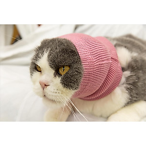 DDFS No Flap Ear Wrap Cat Small (6 Pack), Dedication No Flap Ear Wraps Cat No Flap Ear Wrap Pinpoint Mesh Wine Red S